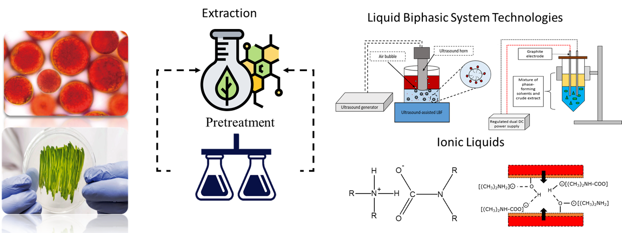 Kuan Shiong Khoo's Research Group - Algae Bioseparation Research