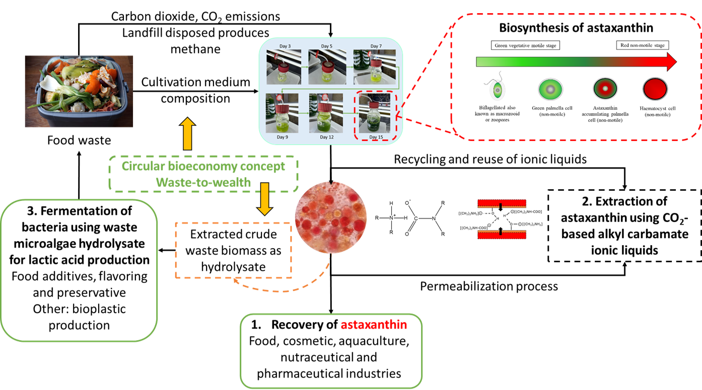 Kuan Shiong Khoo's Research Group - Algae Bioseparation Research